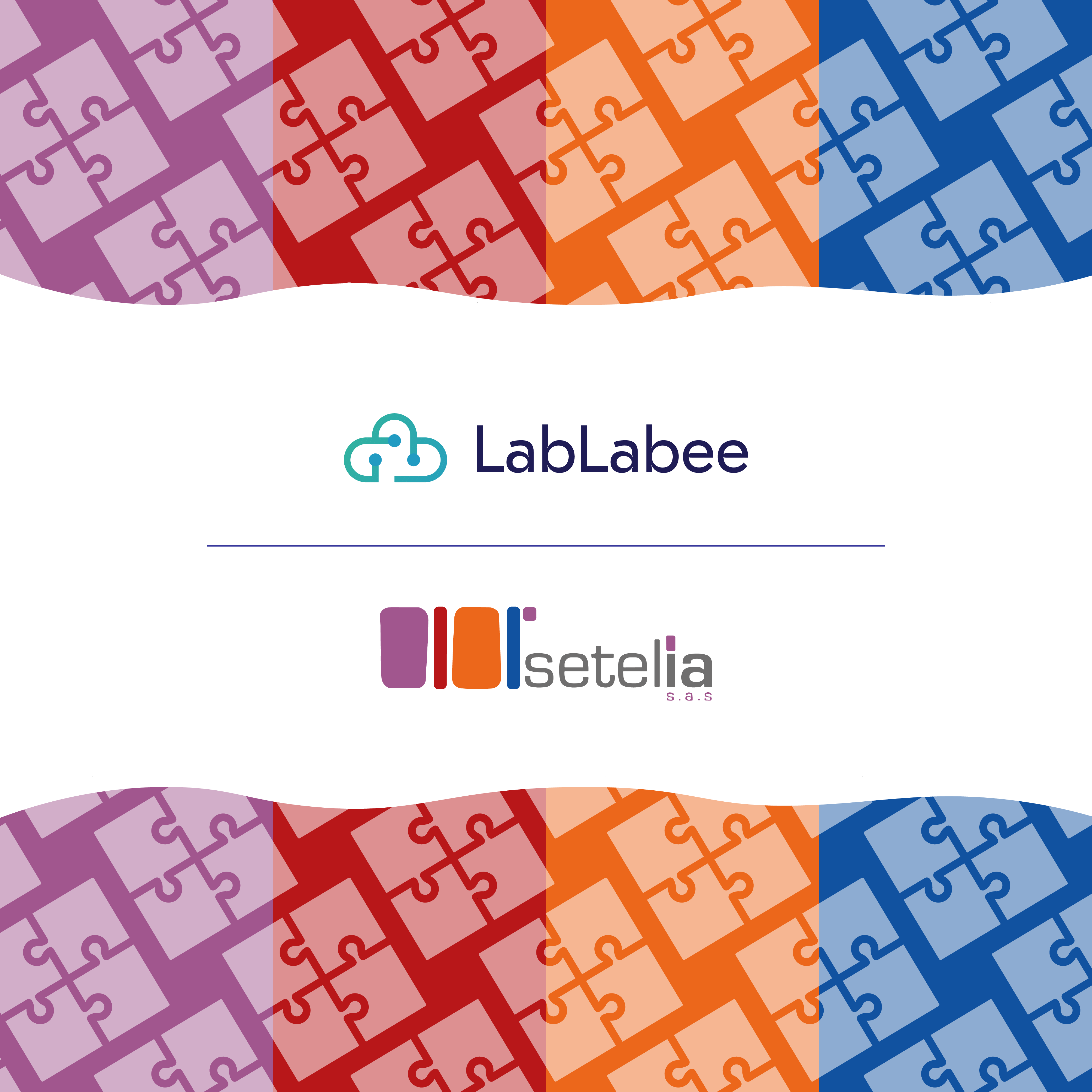 New Partnership Announcement: SETELIA & LabLabee